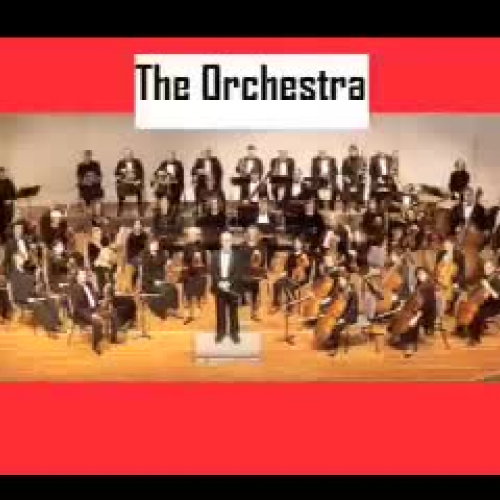 Orchestra Instrument Families