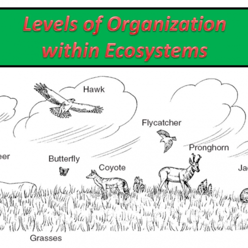 Hierarchy Scheme To Define Terrestrial Ecosystemunits Farm Scale