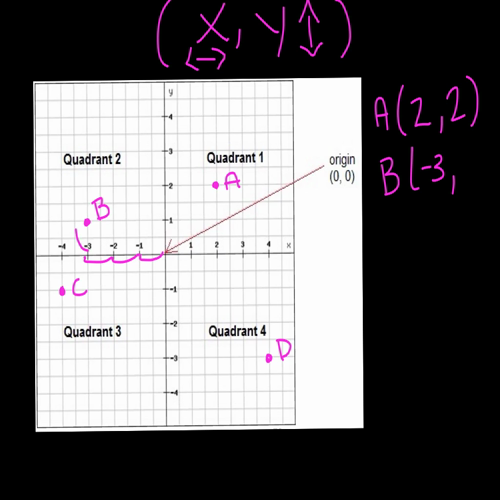 Introduction to the Coordinate System